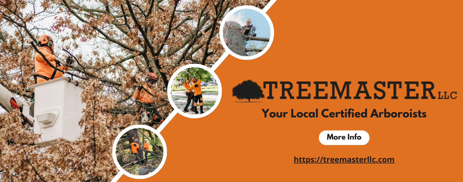 Treemaster, LLC
